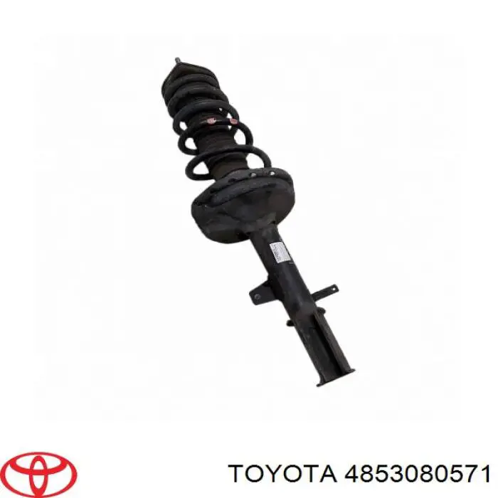 4853080571 Toyota Амортизатор задний правый