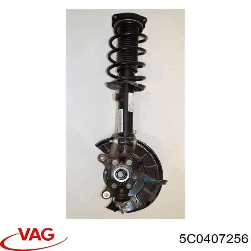 5C0407256 VAG Цапфа (поворотный кулак) передний правый