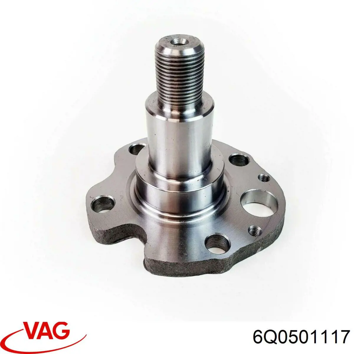 6Q0501117 VAG цапфа (поворотный кулак задний)