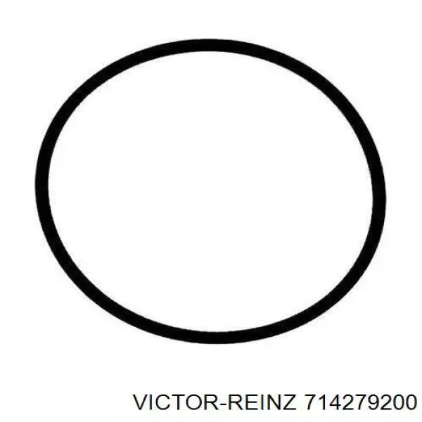 079129717H VAG прокладка, впускний колектор