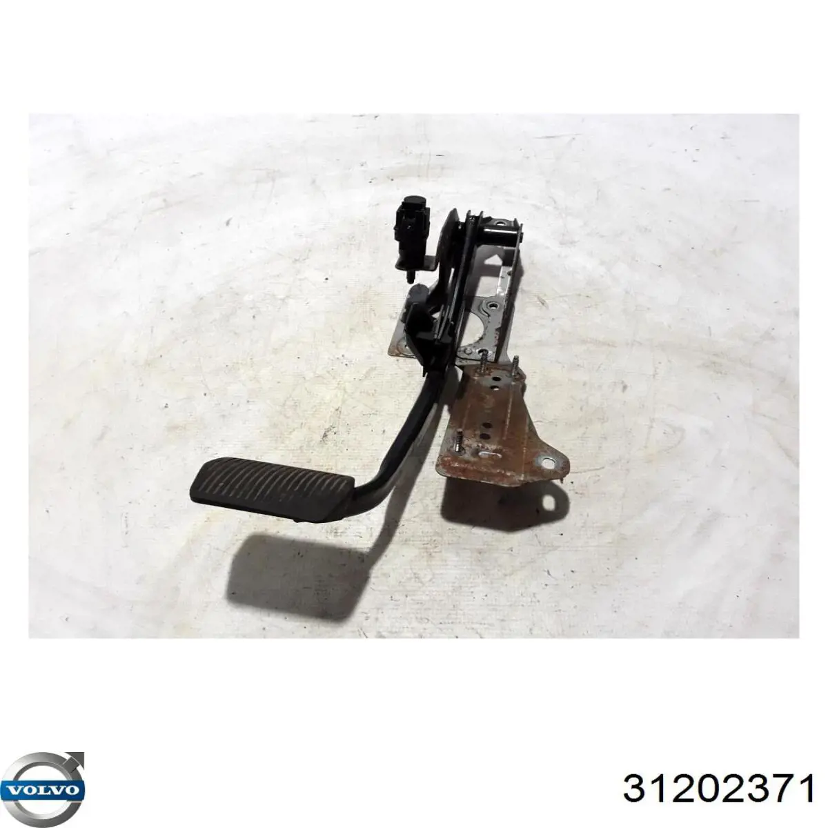 31341385 Volvo сравнить цены на Автопро