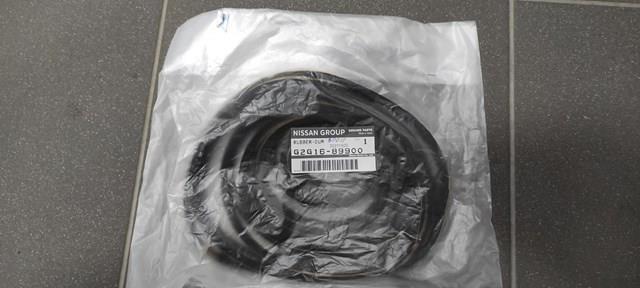 G2G1689900 Nissan/Infiniti Уплотнитель лобового стекла