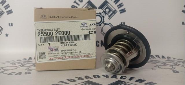 255002E000 Hyundai/Kia термостат