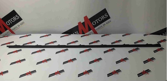 A2216900162 Mercedes уплотнитель двери передней левой, нижний