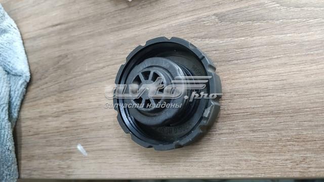 2105010615 Mercedes крышка (пробка расширительного бачка)