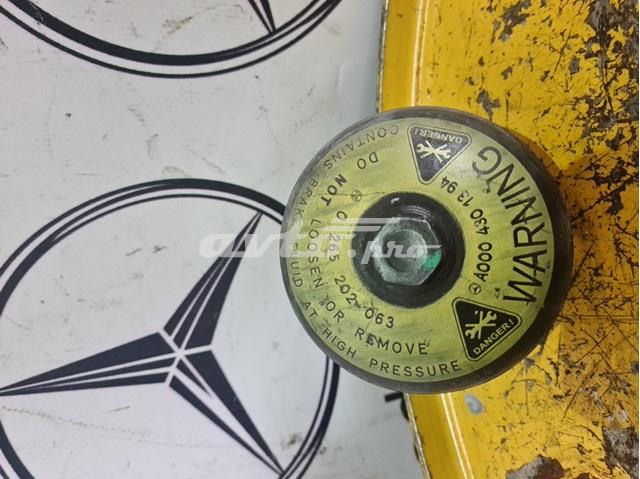 Элементы гидропневматической тормозной системы на Mercedes E (S211)