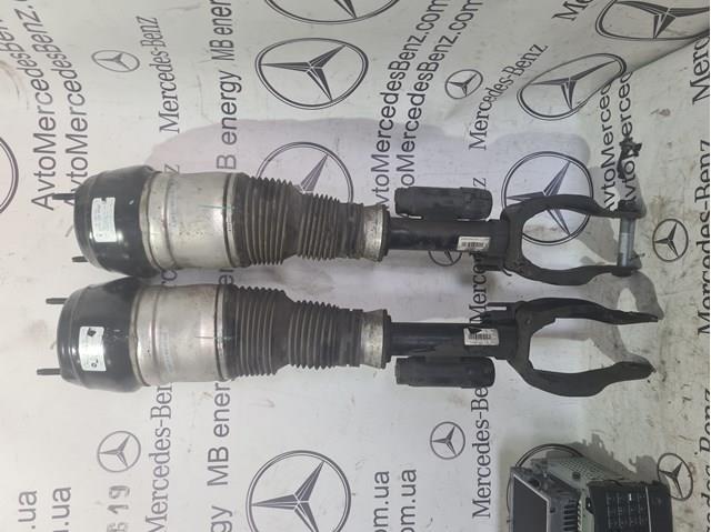 1663200100 Mercedes амортизатор