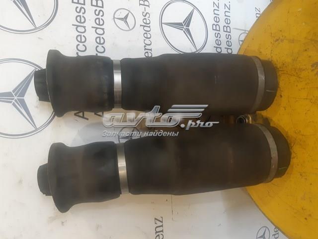 A1663200325 Mercedes пневмоподушка (пневморессора моста заднего)