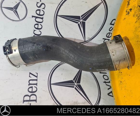 A1665280482 Mercedes шланг (патрубок интеркуллера правый)