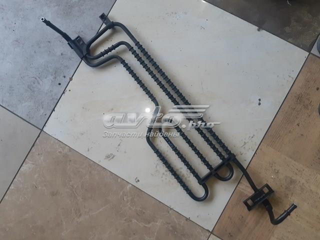 A2044602624 Mercedes радиатор гур