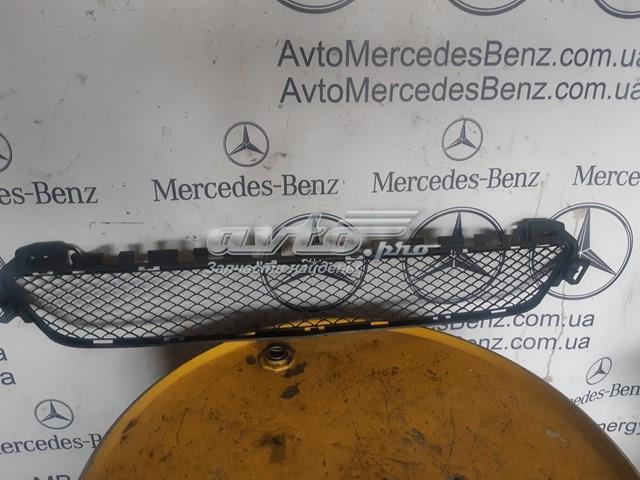 A2058850423 Mercedes решетка бампера переднего центральная