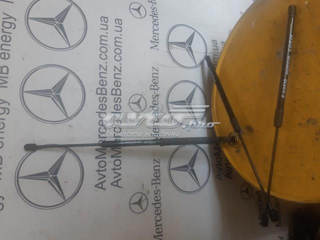 A2139800164 Mercedes | Амортизатор капота левый A 213 980 01 64 купить ...