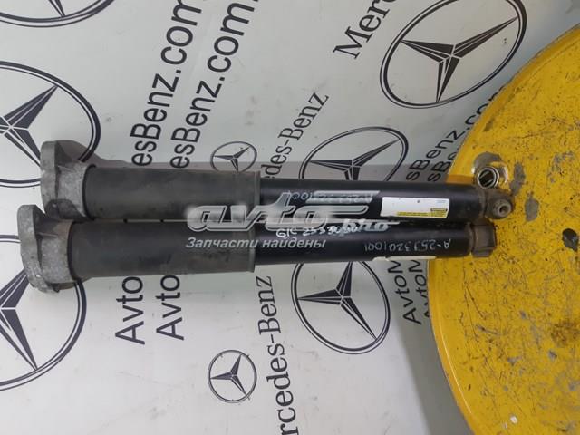 A2533201001 Mercedes амортизатор задний