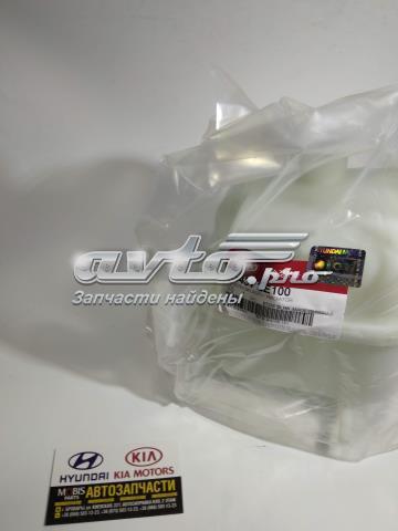254312E100 Hyundai/Kia бачок системы охлаждения, расширительный
