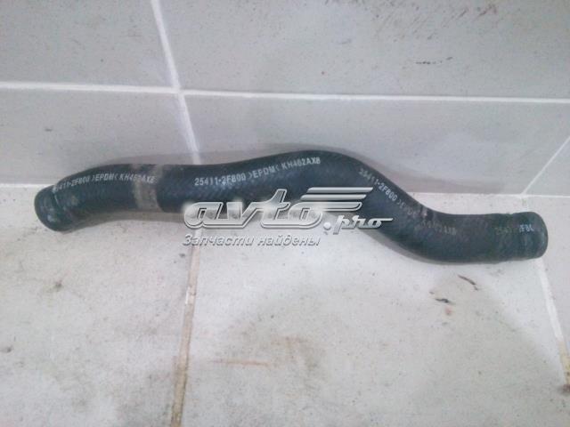 Шланг (патрубок) радиатора охлаждения верхний на KIA Cerato LD купить ...