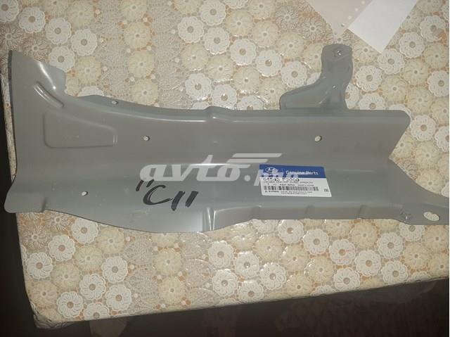 64543F2000 Hyundai/Kia панель
