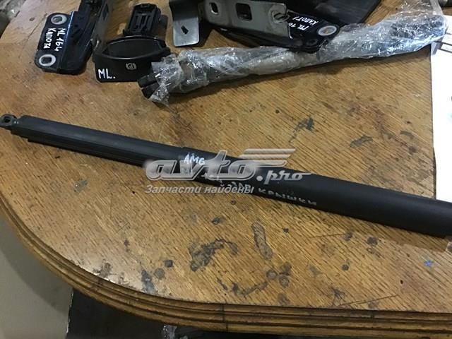 A1647400445 Mercedes амортизатор двери пятой