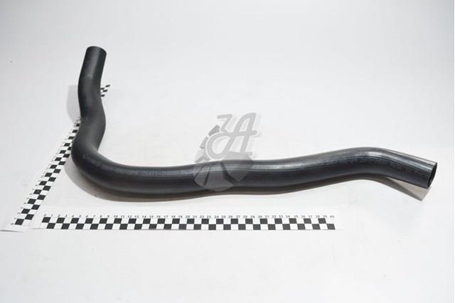 Шланг (патрубок) радиатора охлаждения верхний на Hyundai Elantra HD ...