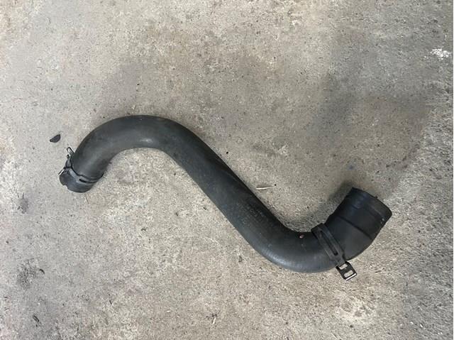 A2465010282 Mercedes шланг (патрубок радиатора охлаждения нижний)