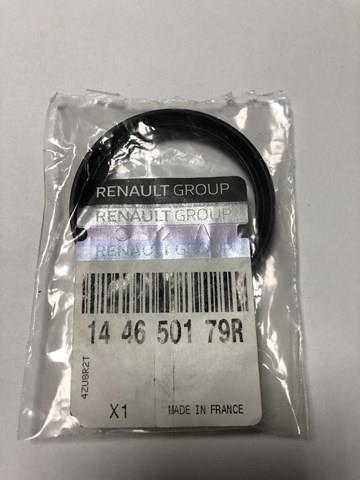 144650179R Renault (RVI) уплотнительное кольцо (прокладка патрубка ...