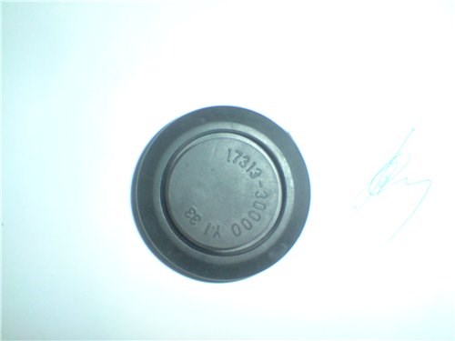 1731330000 Hyundai/Kia заглушка кузова