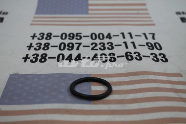 4884873AA Chrysler кольцо уплотнительное системы охлаждения