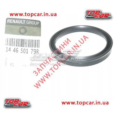 144650179R Renault (RVI) уплотнительное кольцо (прокладка патрубка