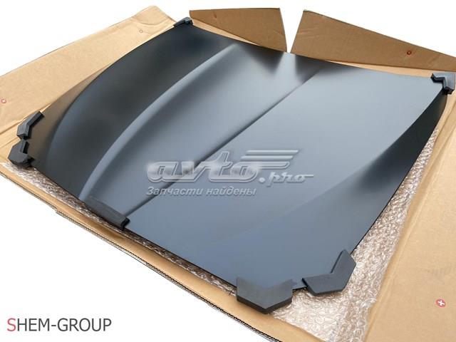 41617207194 BMW капот