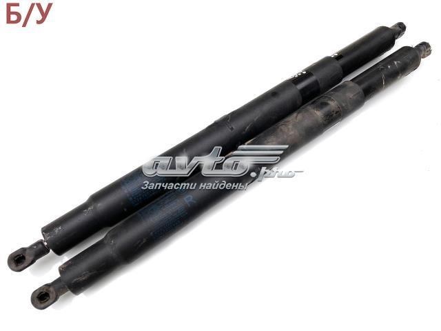 51247201939 BMW амортизатор крышки багажника (двери 3/5-й задней)