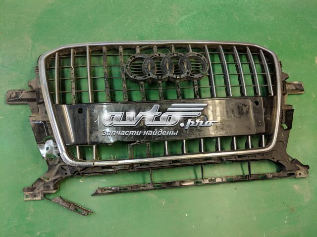 8R0853651 VAG решетка радиатора (Парктроник)
