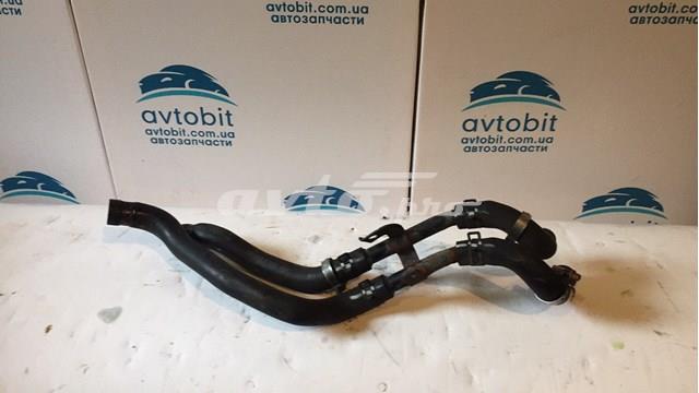 254702G000 Hyundai/Kia шланг (патрубок системы охлаждения)