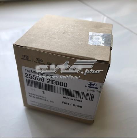 255002E000 Hyundai/Kia термостат
