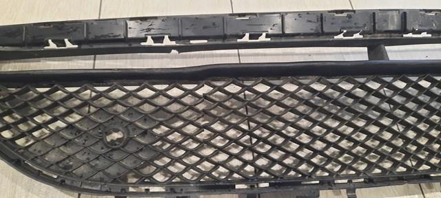 A2138856900 Mercedes решетка бампера переднего центральная