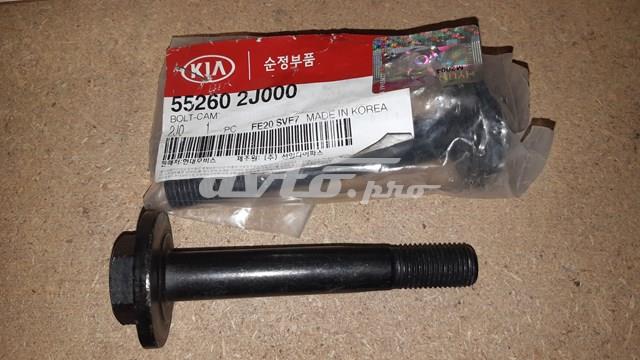 552602J000 Hyundai/Kia Болт крепления заднего нижнего рычага, внутренний