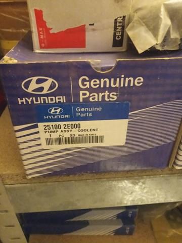 251002E000 Hyundai/Kia помпа