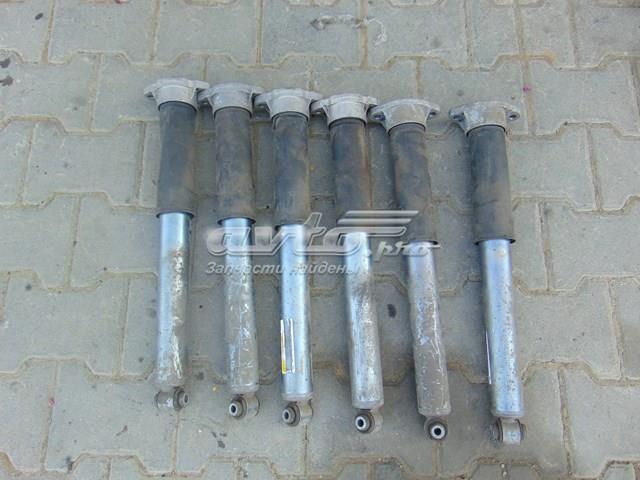 A2533201001 Mercedes амортизатор задний