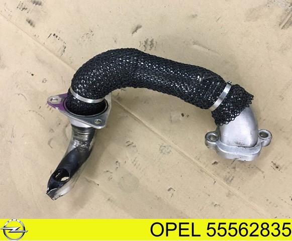 55562835 Opel трубка egr 2.0 cdti 16v op a20 dth 121 квт