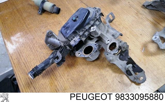 9833095880 Peugeot/Citroen клапан egr рециркуляции газов