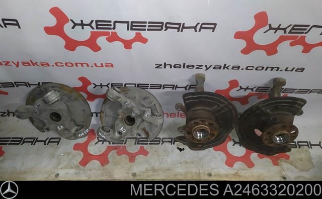 A2463320200 Mercedes кулак поворотний