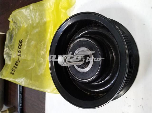 2528925000 Hyundai/Kia ролик приводного ремня паразитный