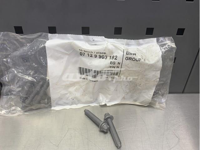 07129903192 BMW болт головки блока цилиндров