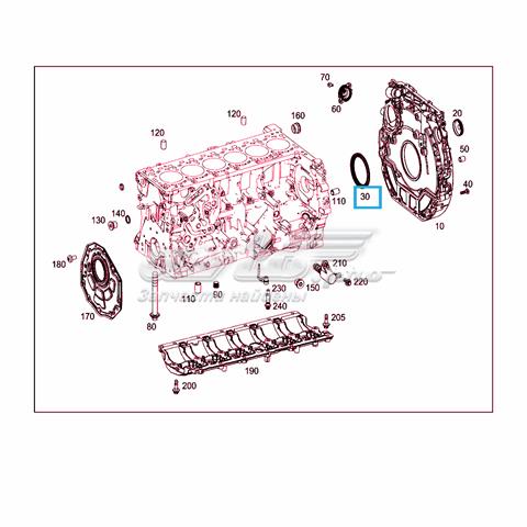 A0169972046 Mercedes сальник