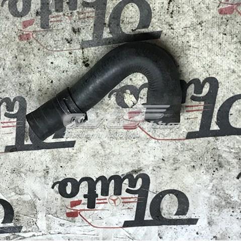 A2038300696 Mercedes mercedes шланг