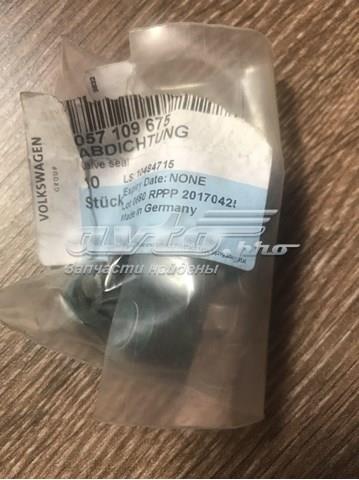 057109675 VAG сальник клапана (маслосъемный, впуск/выпуск)