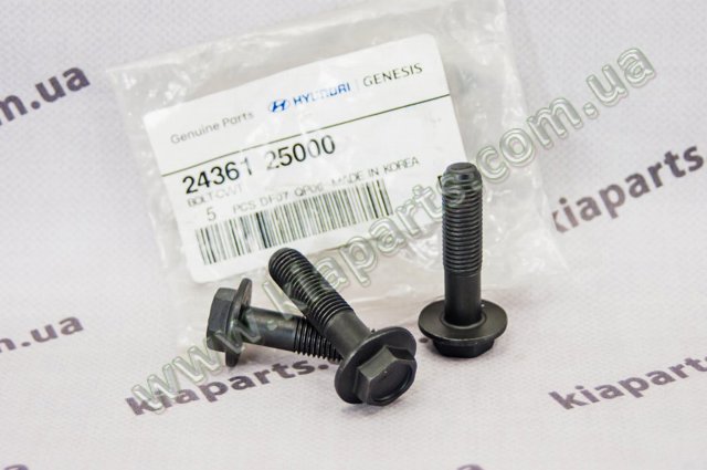 2436125000 Hyundai/Kia болт cvvt