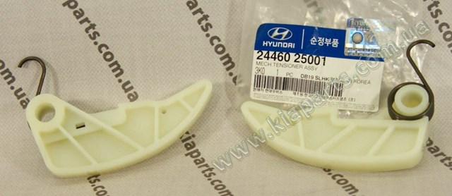 2446025001 Hyundai/Kia натяжитель цепи насоса масляного
