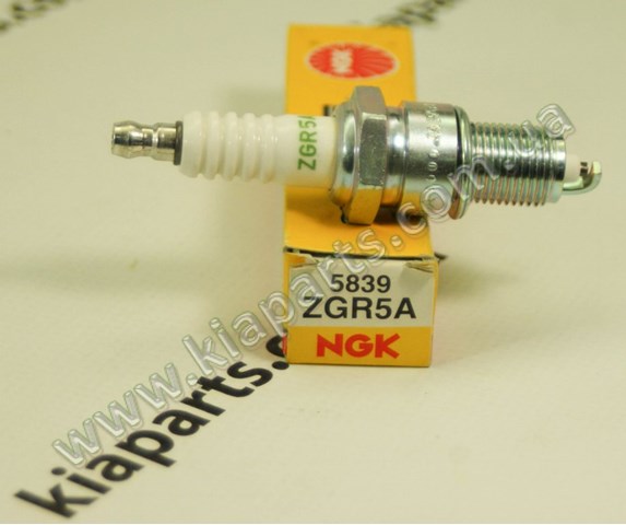 ZGR5A NGK свечи