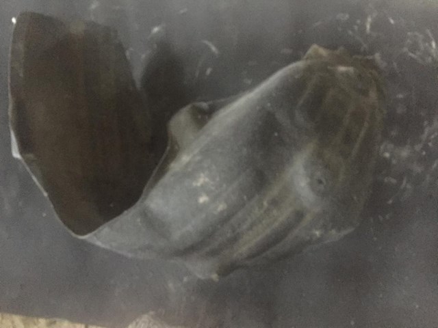 86822F1000 Hyundai/Kia сравнить цены на Автопро