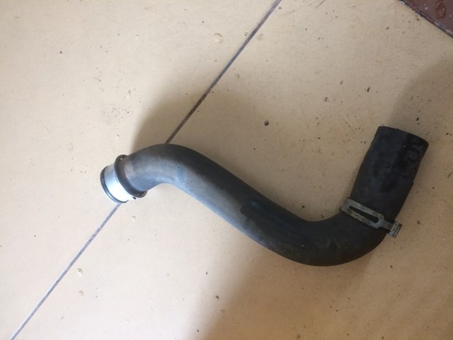 A9065012982 Mercedes | Шланг (патрубок радиатора охлаждения верхний) A ...