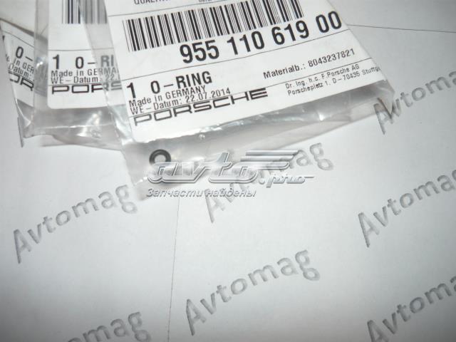 Кольцо форсунки инжектора, посадочное на Seat Toledo 2013